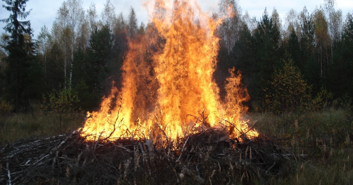 Queimas e queimadas representam 62% das causas apuradas para os ...